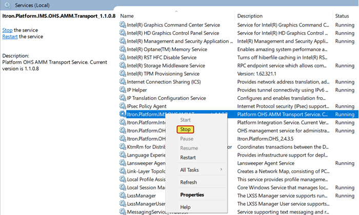 AMM Egress Transport Service Installation Failure